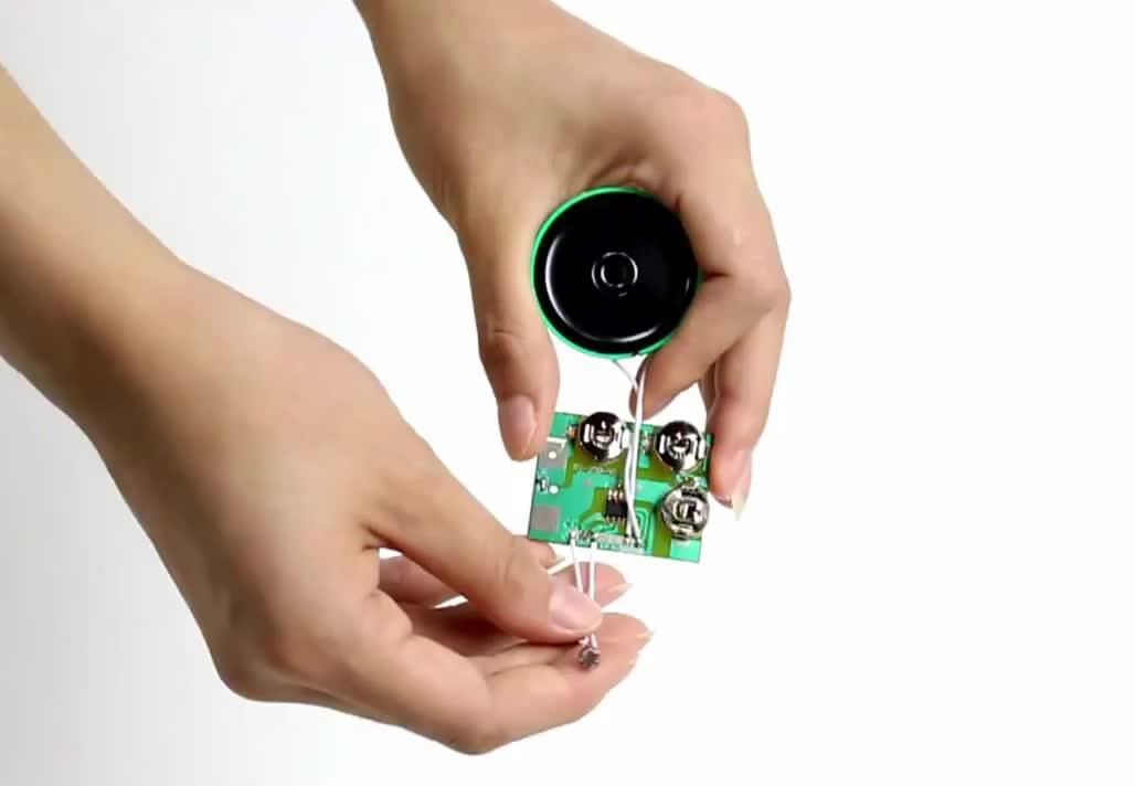 Programmable Small Talking Module Voice Recorder Chips Recordable Sound ...