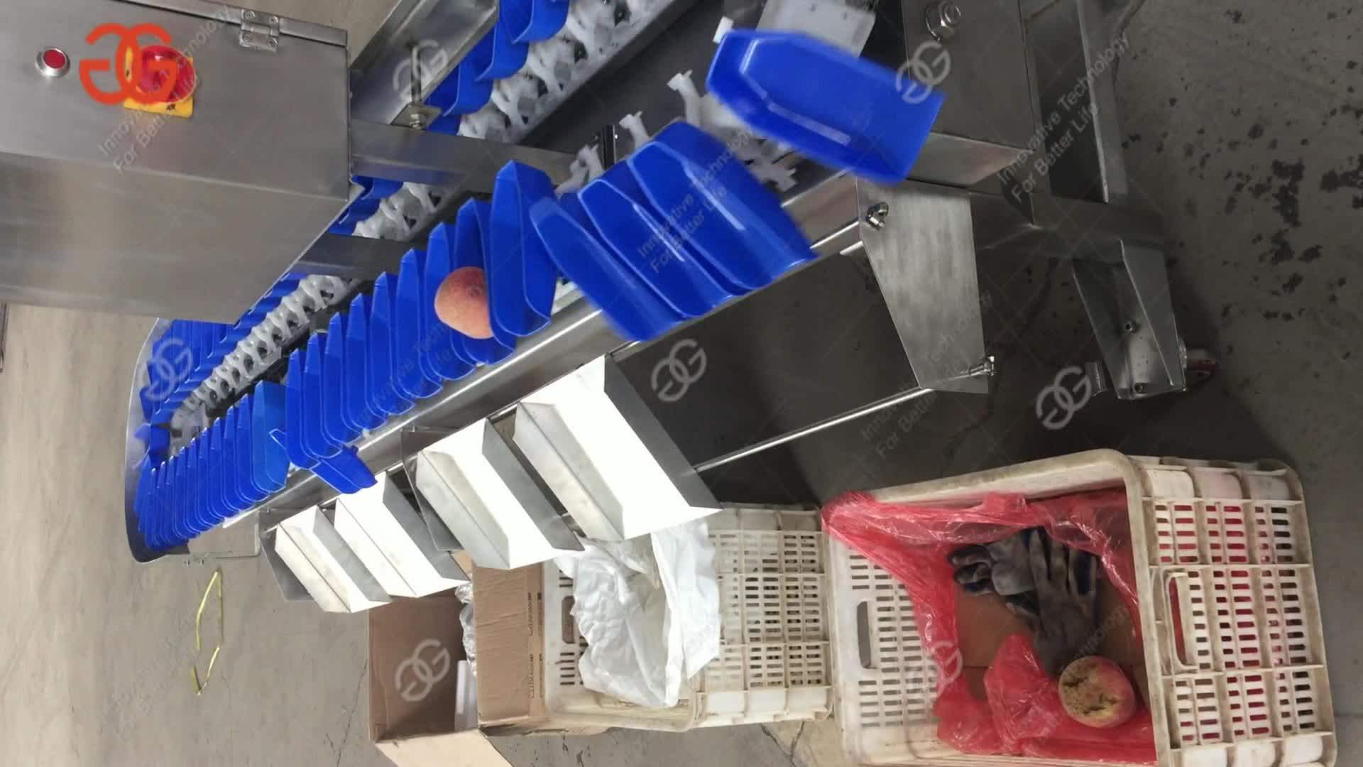 Industrial Crawfish Crayfish Sorting Shrimp Grader Fish Grading ...