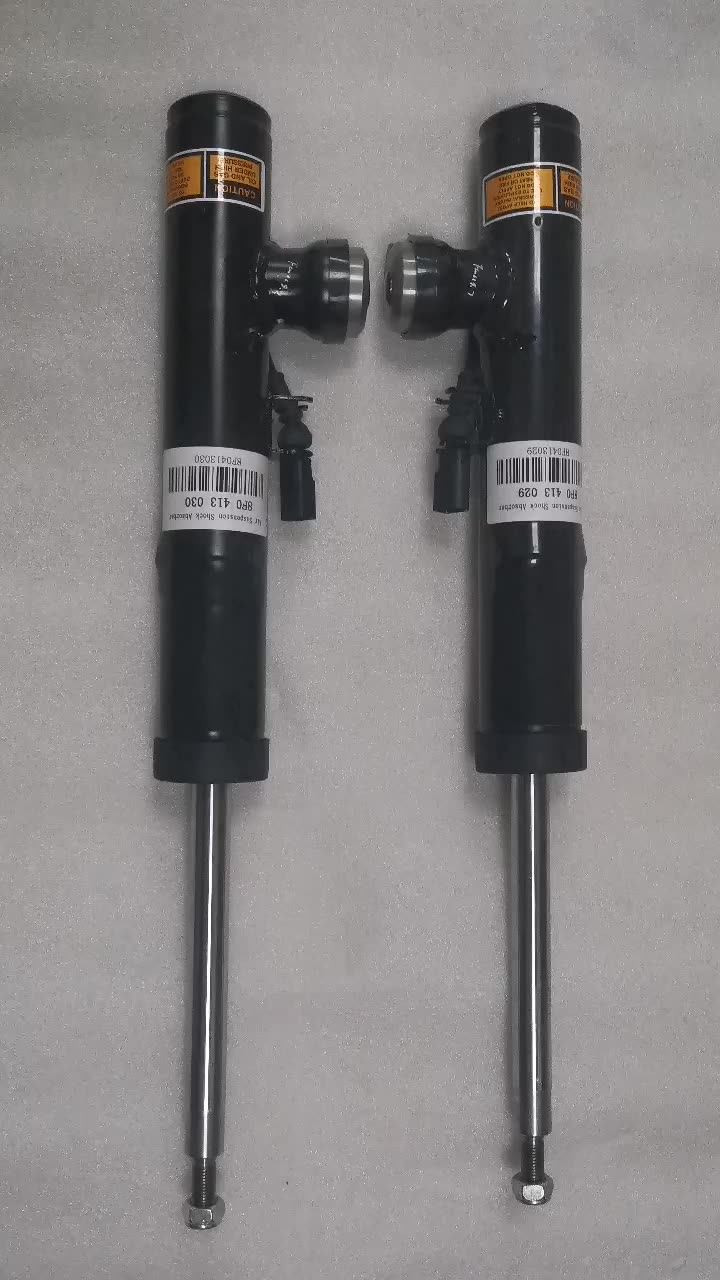 8r0413029l 8r0413029j Pair Of Front Left /right Strut Shock Absorber ...