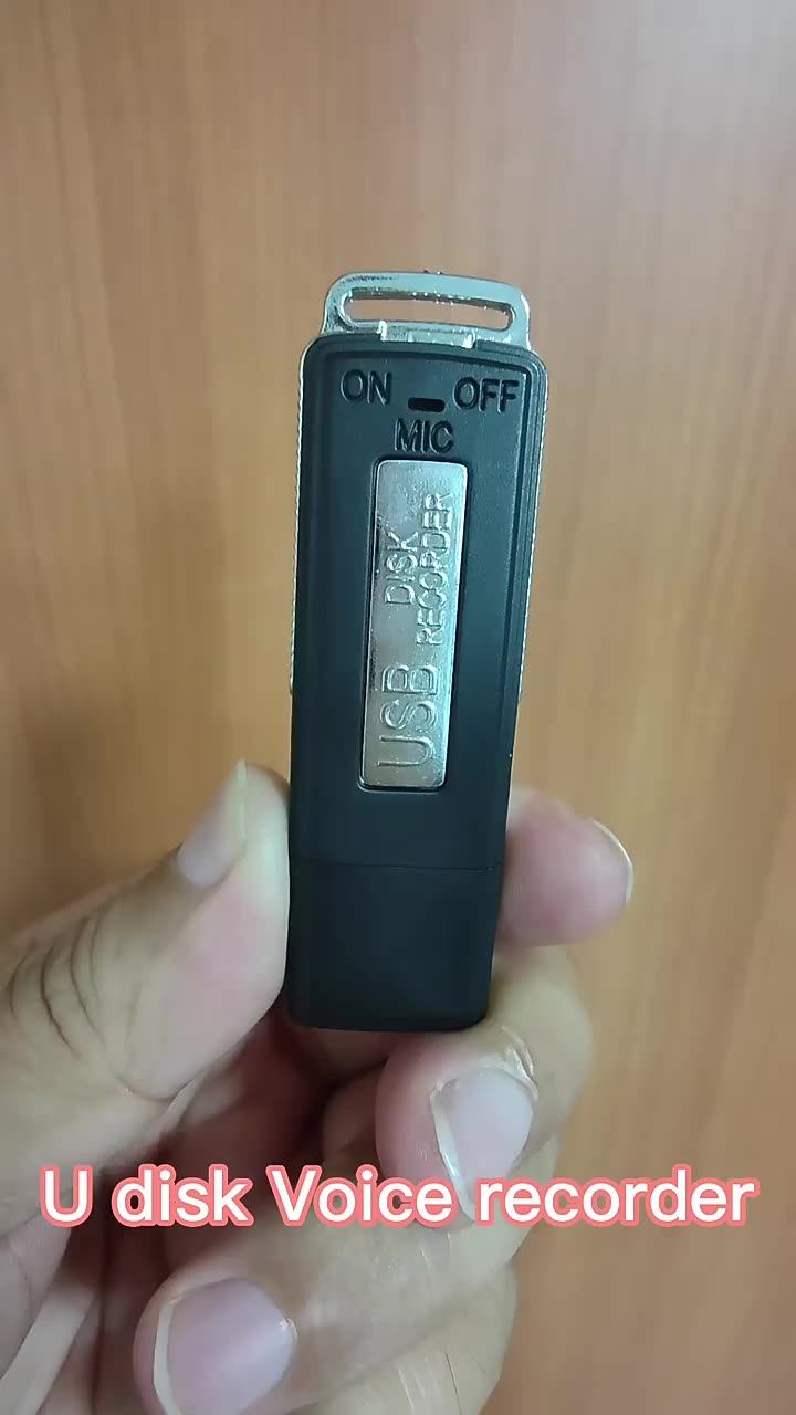 Voice Recorder Digital Voice Recorders With 8gb Usb Flash Drive/170 ...