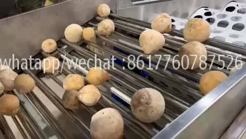 Automatic Sweet Potato Grading Machine Potatoes Size Or Weight Grader Equipment Vegetables ...