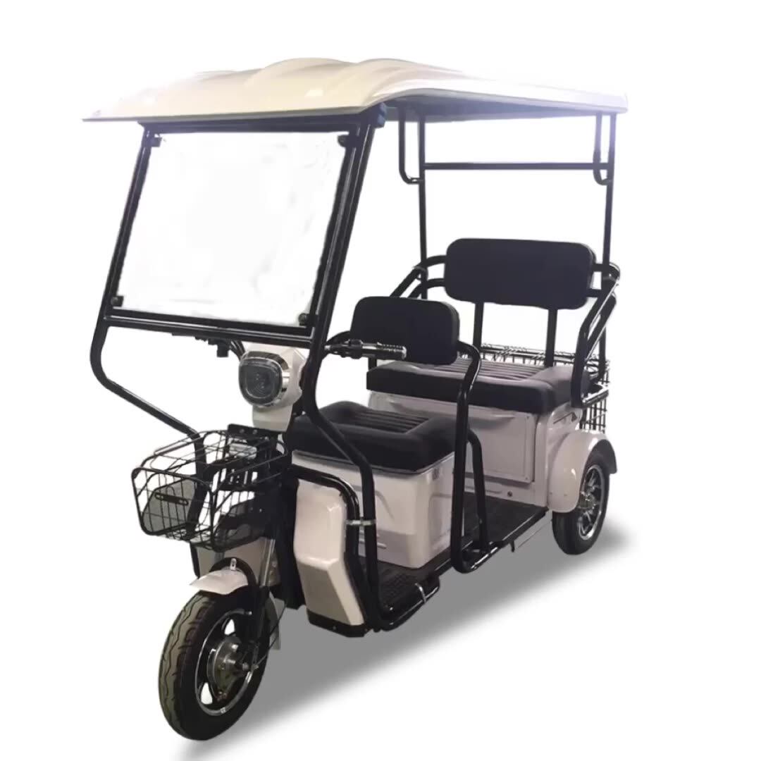 New Design 1000w Luxury 3 Wheel Electric Tricycle Open Body Rickshaw ...