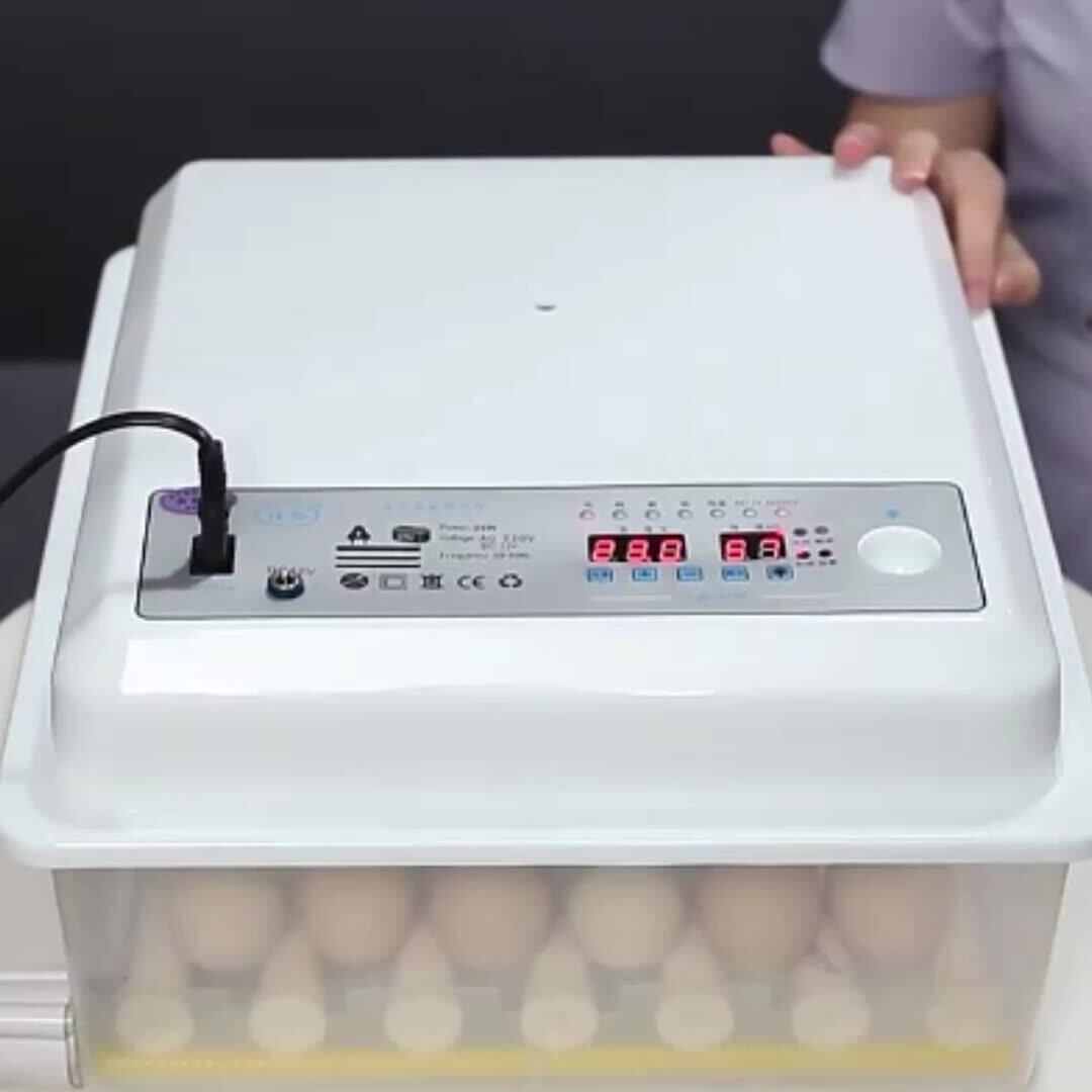Hhd Intelligent Control Ce Approved 112 Eggs Incubator 12 Months Fully ...
