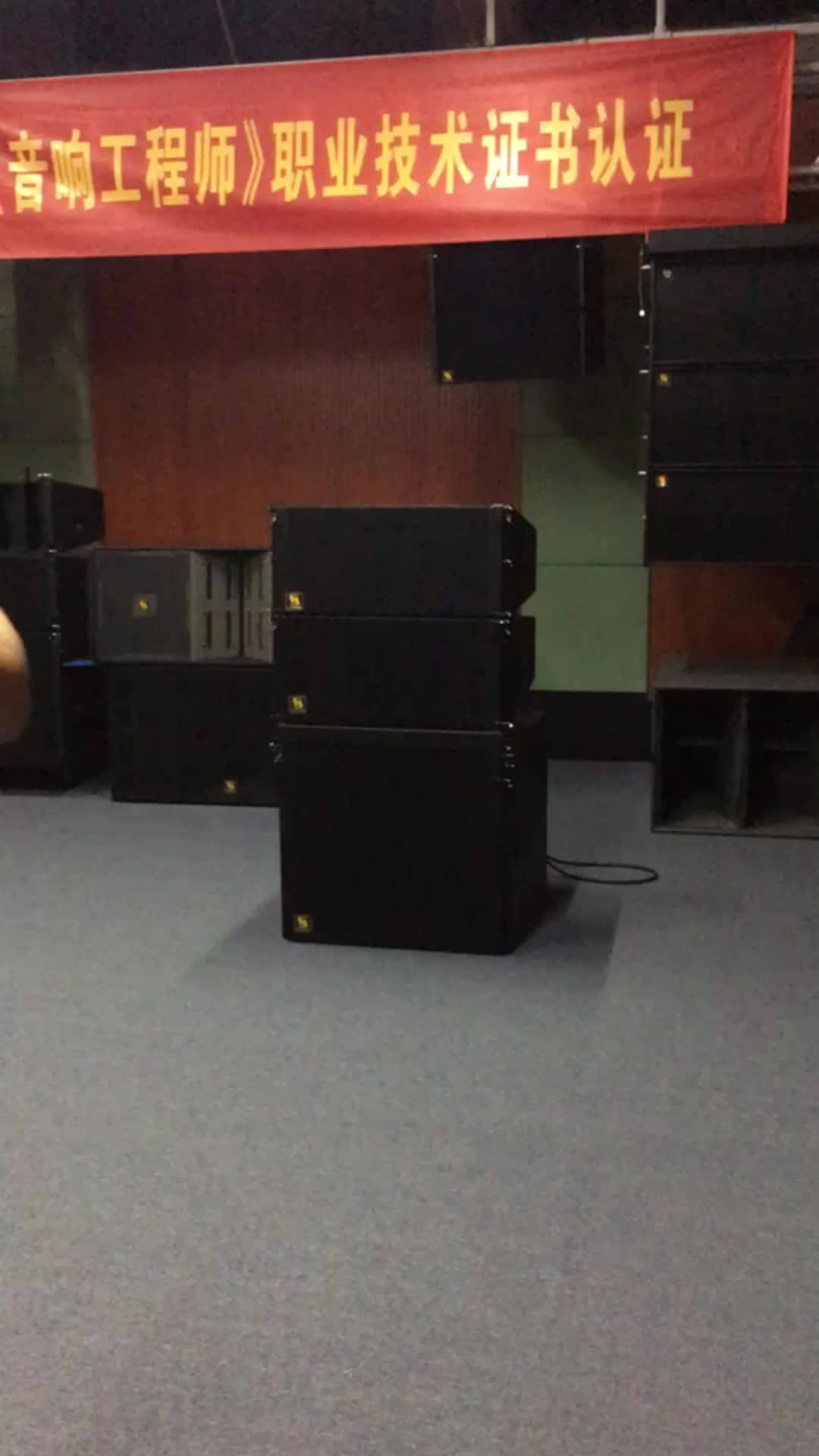 V-sub Pa Audio 12 Inch + 18 Inch Passive Subwoofers Box Design - Buy D ...