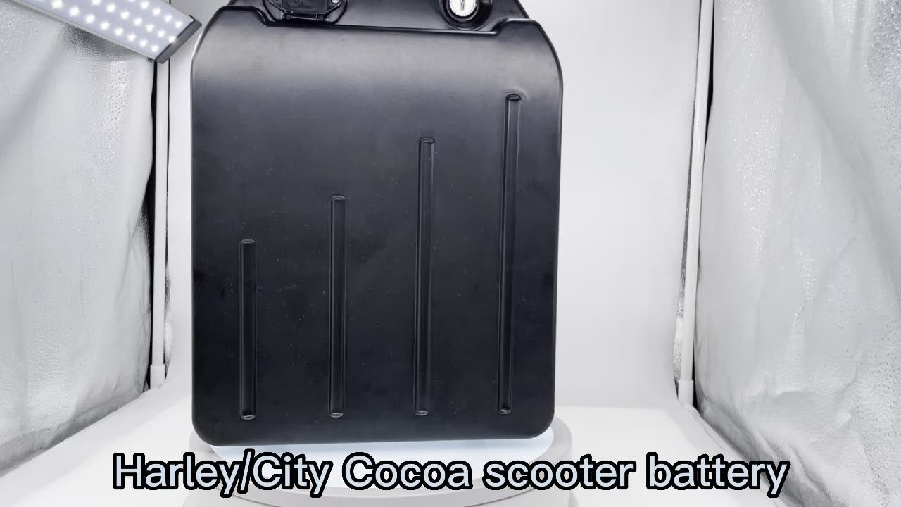 Citycoco Replacement Harley Akku 60v 20ah Electric Scooter Battery ...