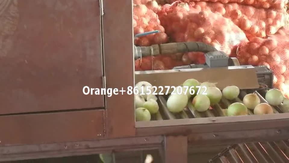 304sus Onion Removing Peel Skinner Machines Onion Skin Peeler Supplier ...