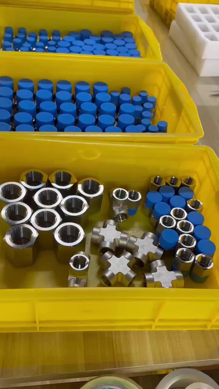 Stainless Steel 316 Pipe Fitting 2 Inch Female Plug 6000psi 1 Inch Hex ...