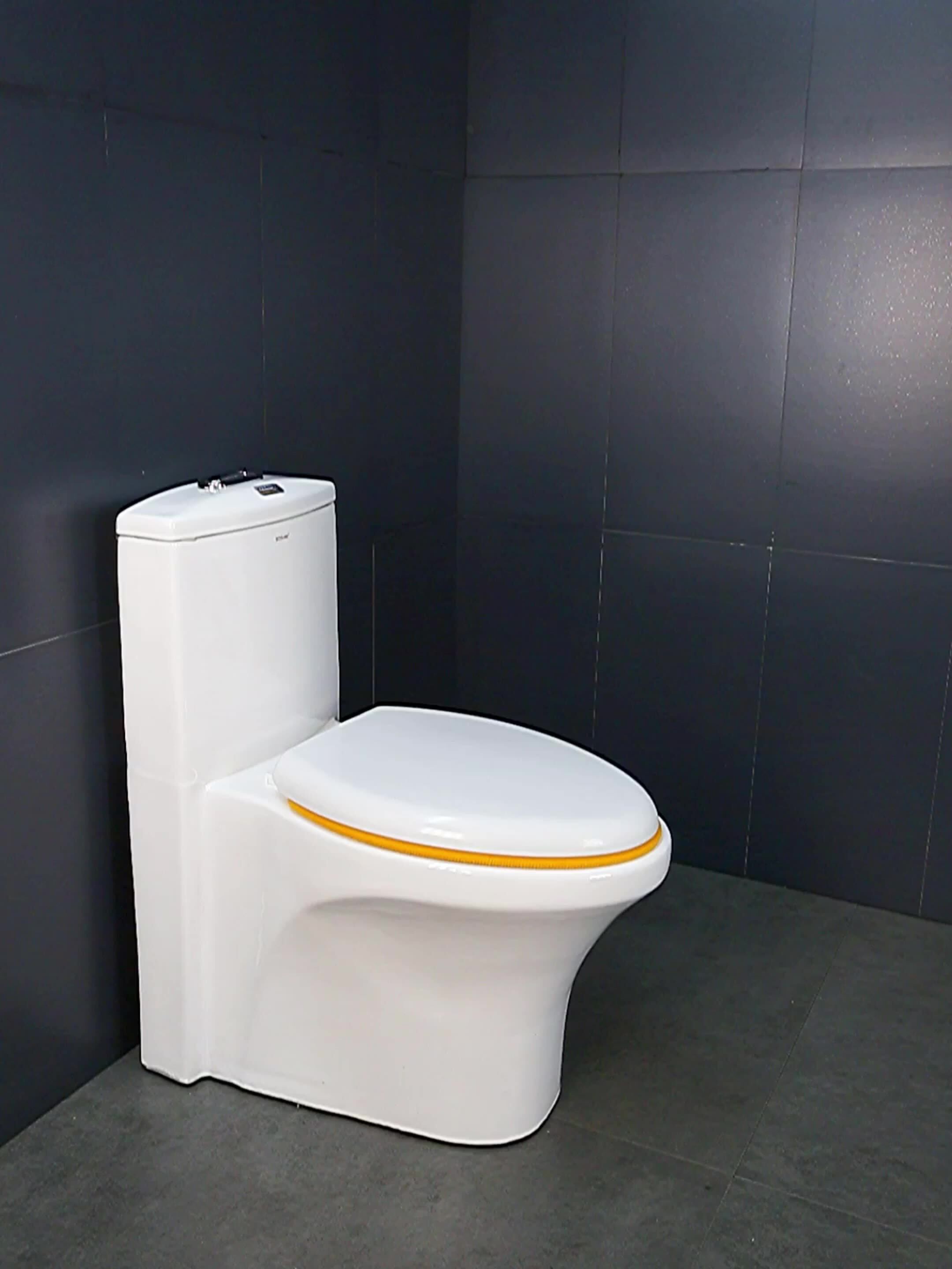 Raised Toilet Seat High Elevated Toilet Seat Locks Onto Standard ...
