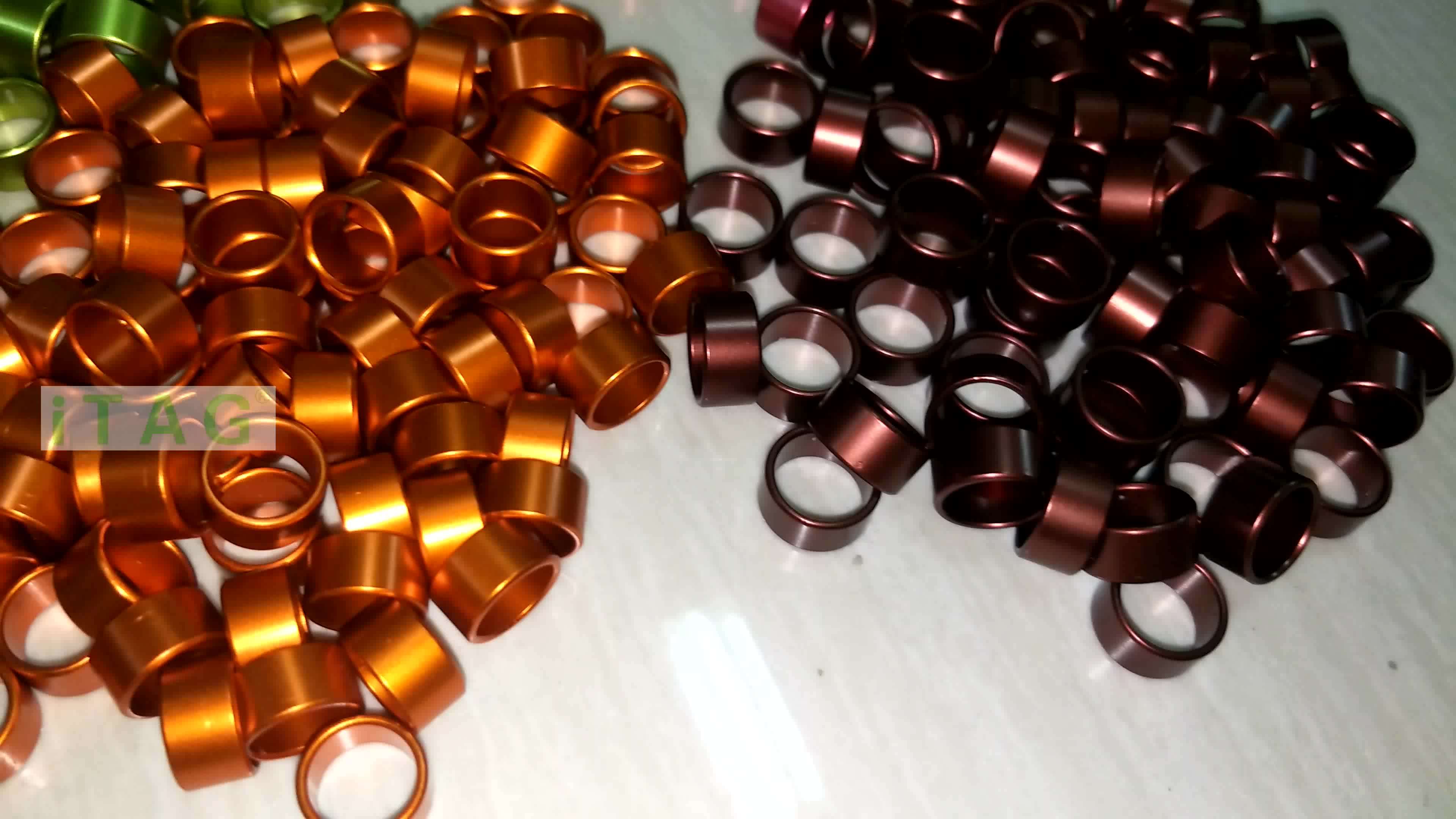 Aluminium Birds Rings Bands Yorkshire Canary Birds For Sale - Buy ...