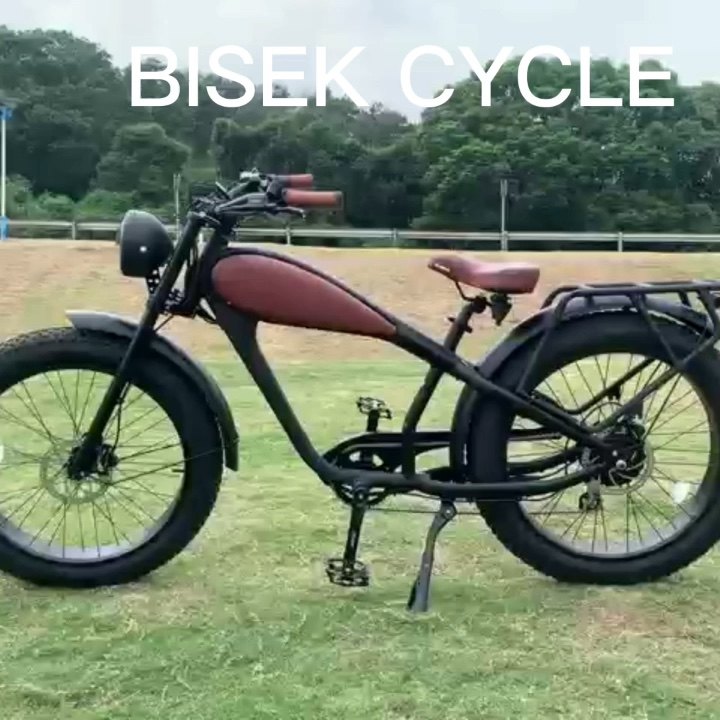 Bisek Cycle Long Range Electric Retro Style E Bike 750 Watt Fat Tire ...