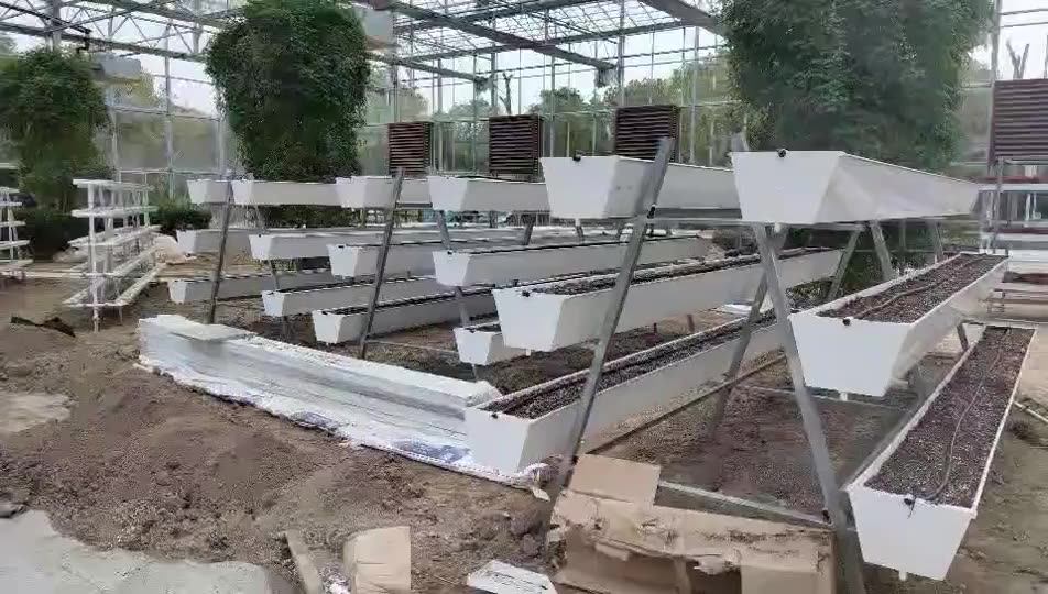 Hydroponic U-type Strawberry Growing Trough System - Buy Hydroponic ...