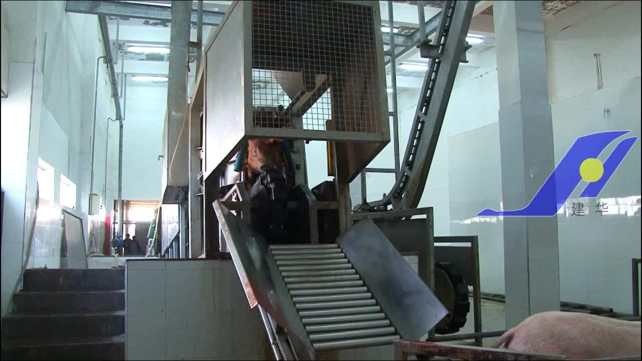 2020 Design-drawing Custom-made Export Pig Slaughtering Kill/cut ...