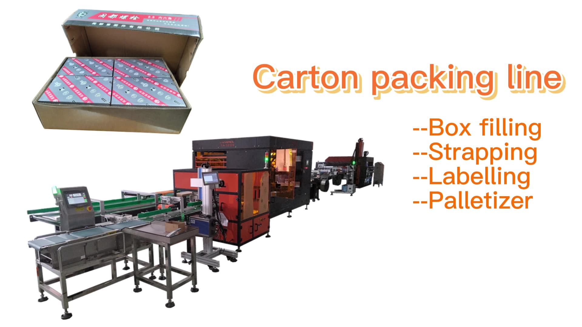Automatic Carton Packaging Line Box Filling In Carton Packing Machine ...