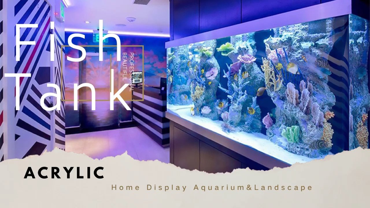 2021 Professional 1000l 80 Gallon Large Acrylic Fish Tanks,Marino Fish ...