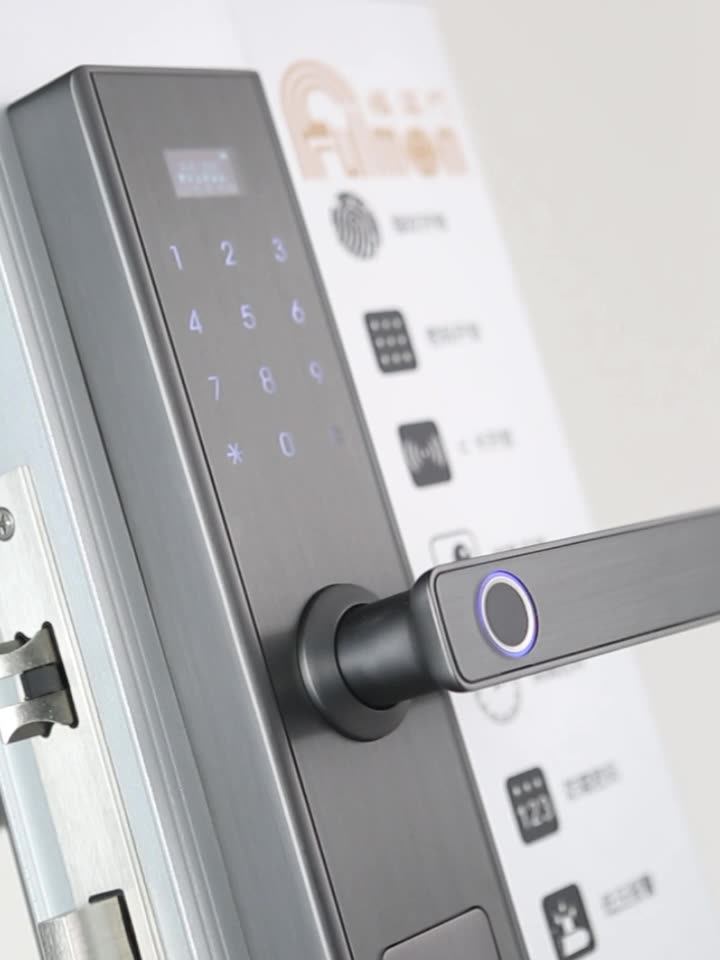 Guangdong Tuya Wifi Fingerprint Electronic Digital Security Smart ...