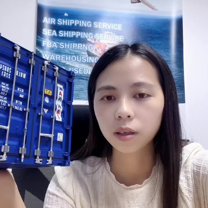 New 20ft Dry Container With Ivory White Blue Red Customized Color ...