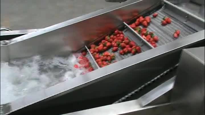 Automatic Electric Seafood Mussel Cleaning Machine Clams Fish Washer ...