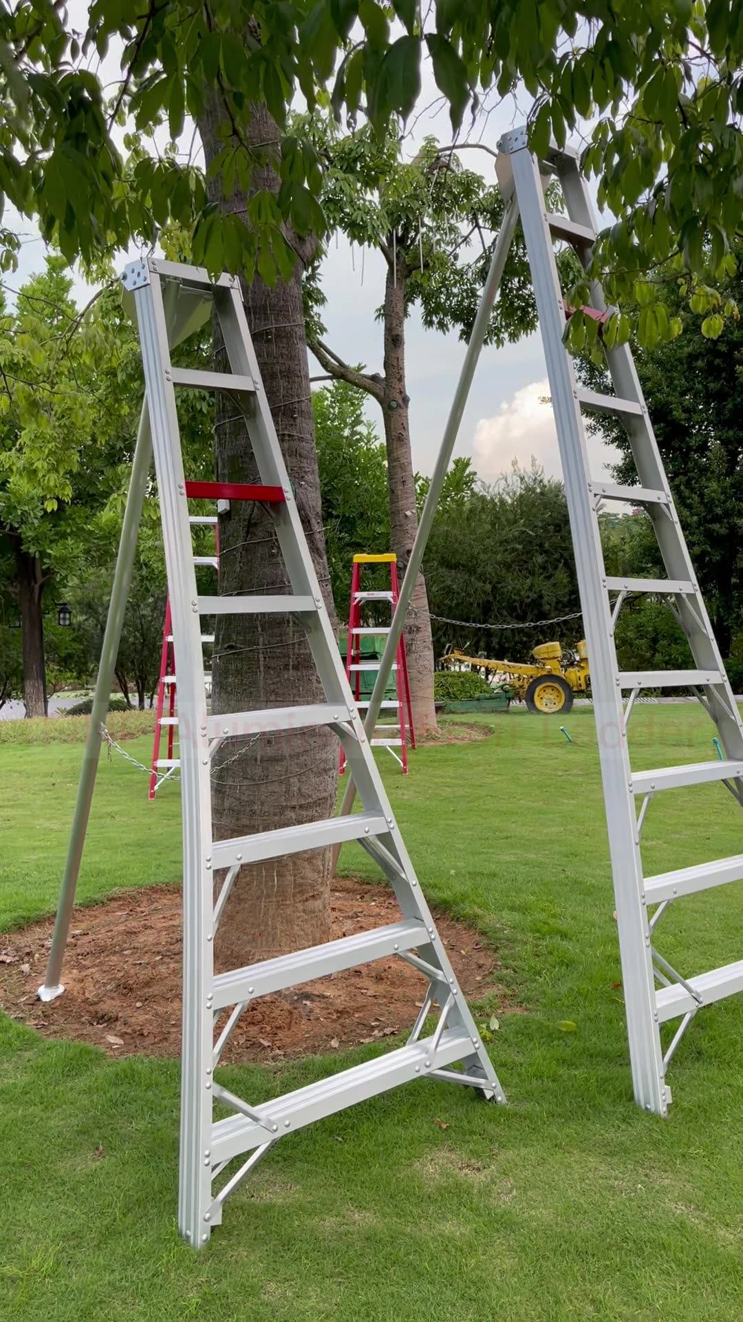 Fruit Ladder Freestanding Balance Horizontal Weld Harvest Tripod Fruit ...