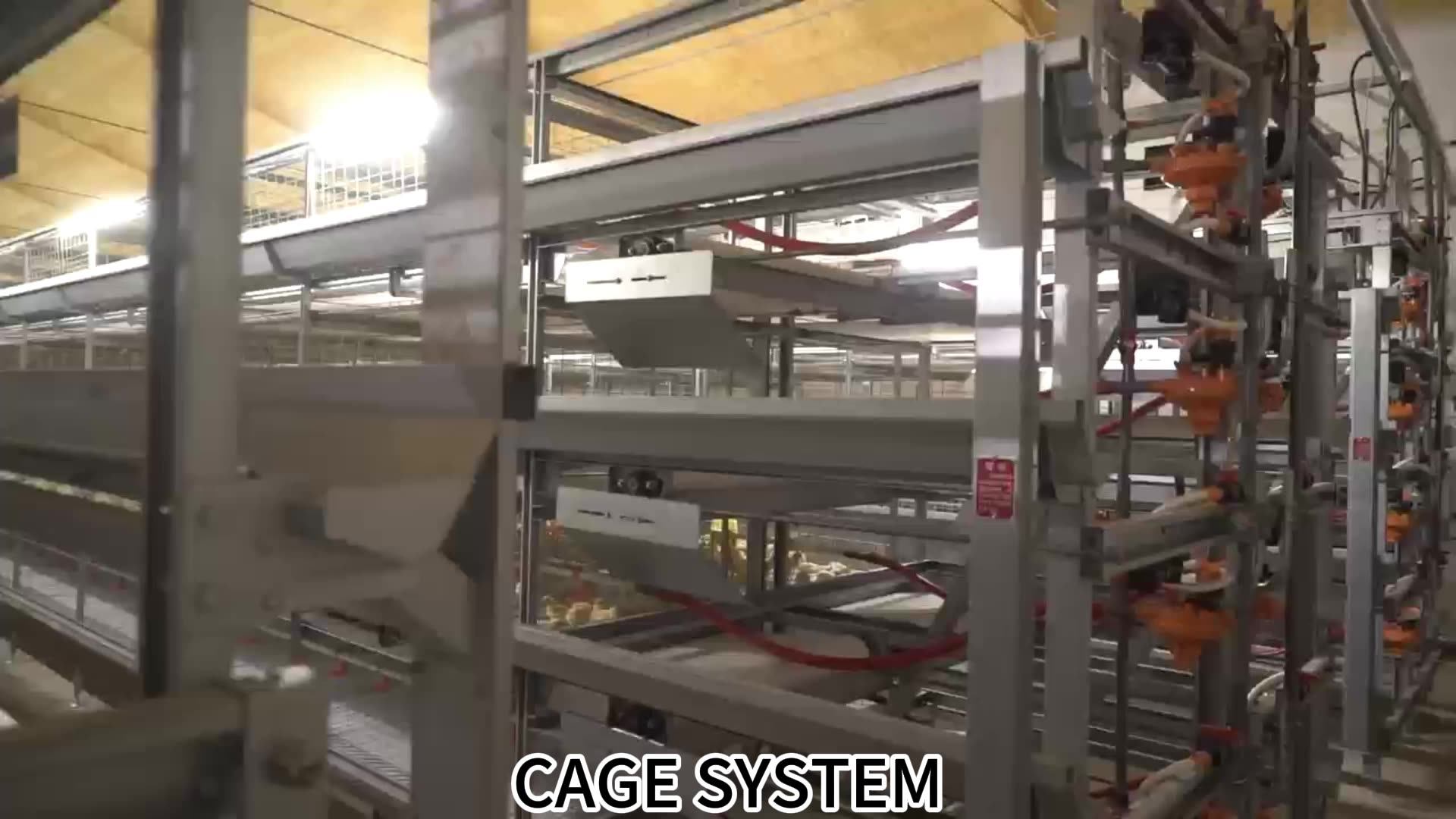Industrial Poultry Project A Type Battery Layer Chicken Cages Automatic Egg Poultry Farming ...
