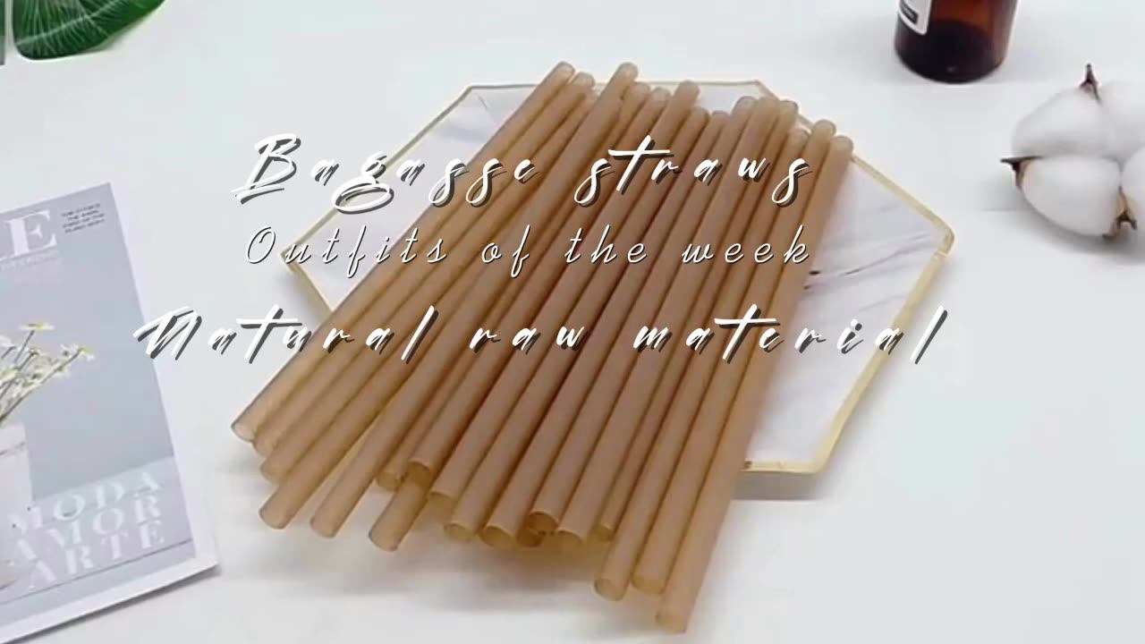 Vegetable Fiber Individual Wrapped Sugarcane Bagasse Straw Compostable ...