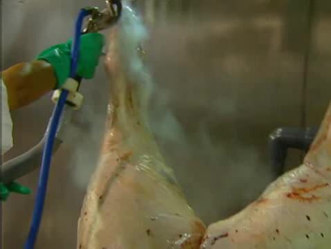 Jarvis Steam Vacuum System Model Cv-1 For The Reduction Of Pathogens ...