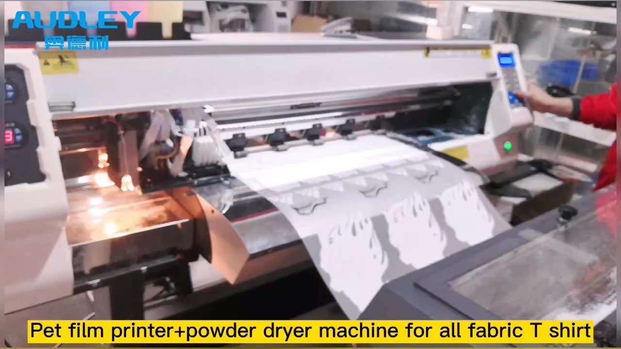 Audley Digital Inkjet Printer Dtf Printer T-shirt Printing Machine For ...