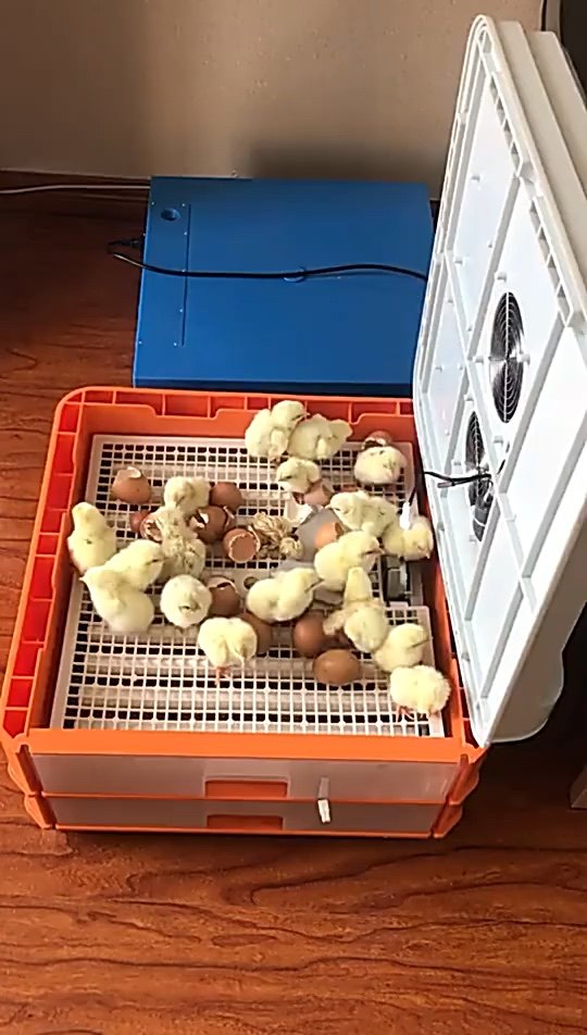 7 Layers 448 Chicken Egg Incubator Smart Hatching Equipment Poultry ...