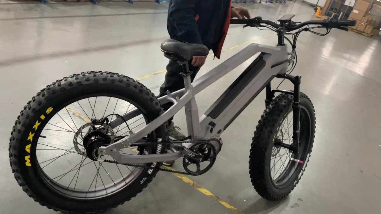 Aluminum Frame Dual Hidden Battery Ebike 5-speed Belt Drive 48v ...