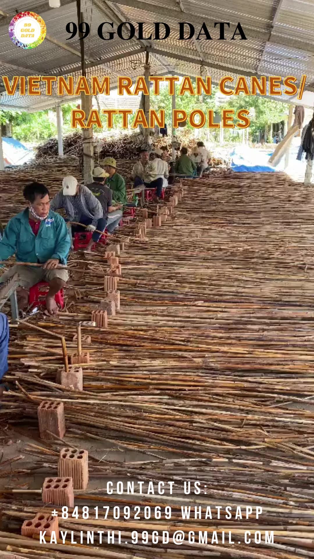 Vietnam Natural Malacca Rattan Canes / Rattan Poles Raw Material For ...
