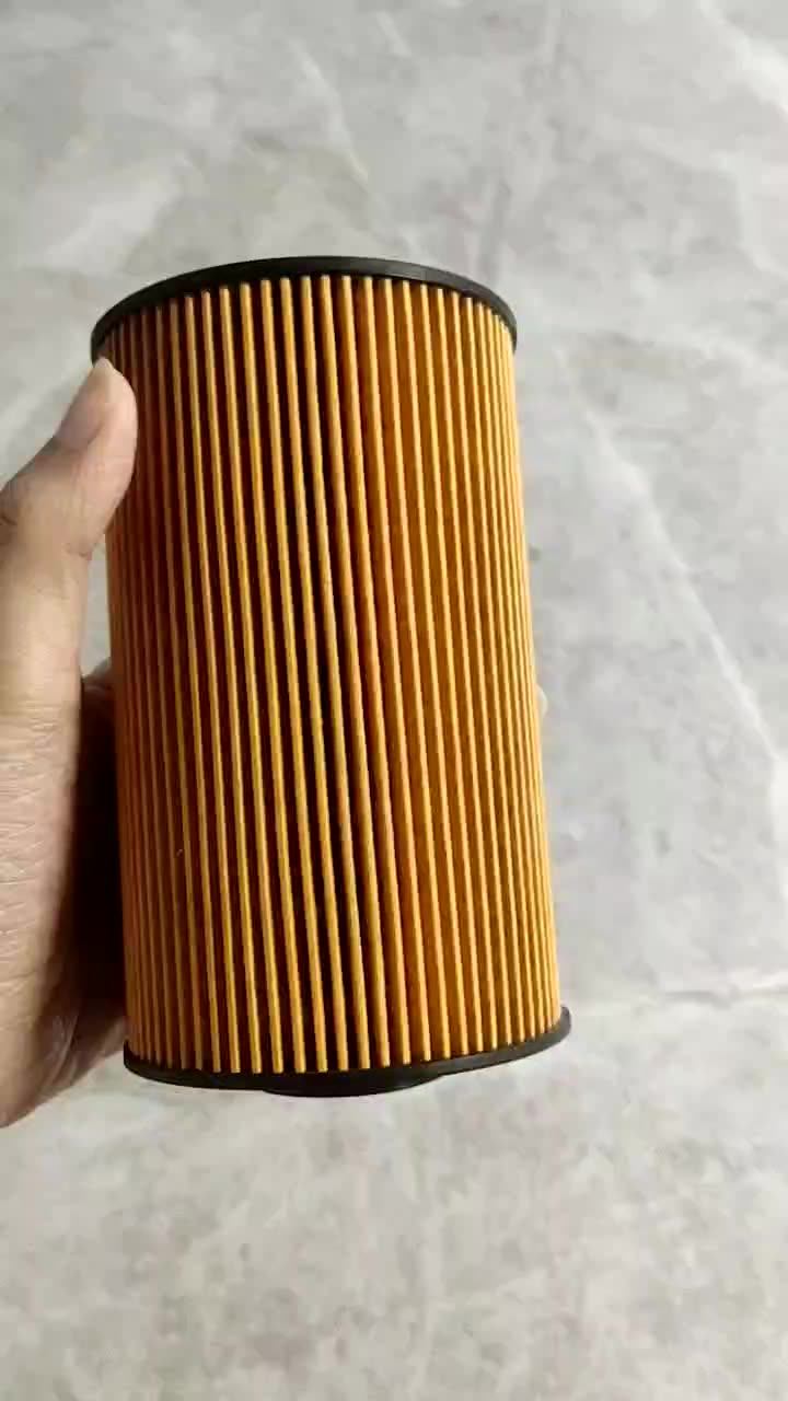 Hot Sale Factory Direct 20200606 Truck Oil Fuel Filter 51.12503-0061 ...