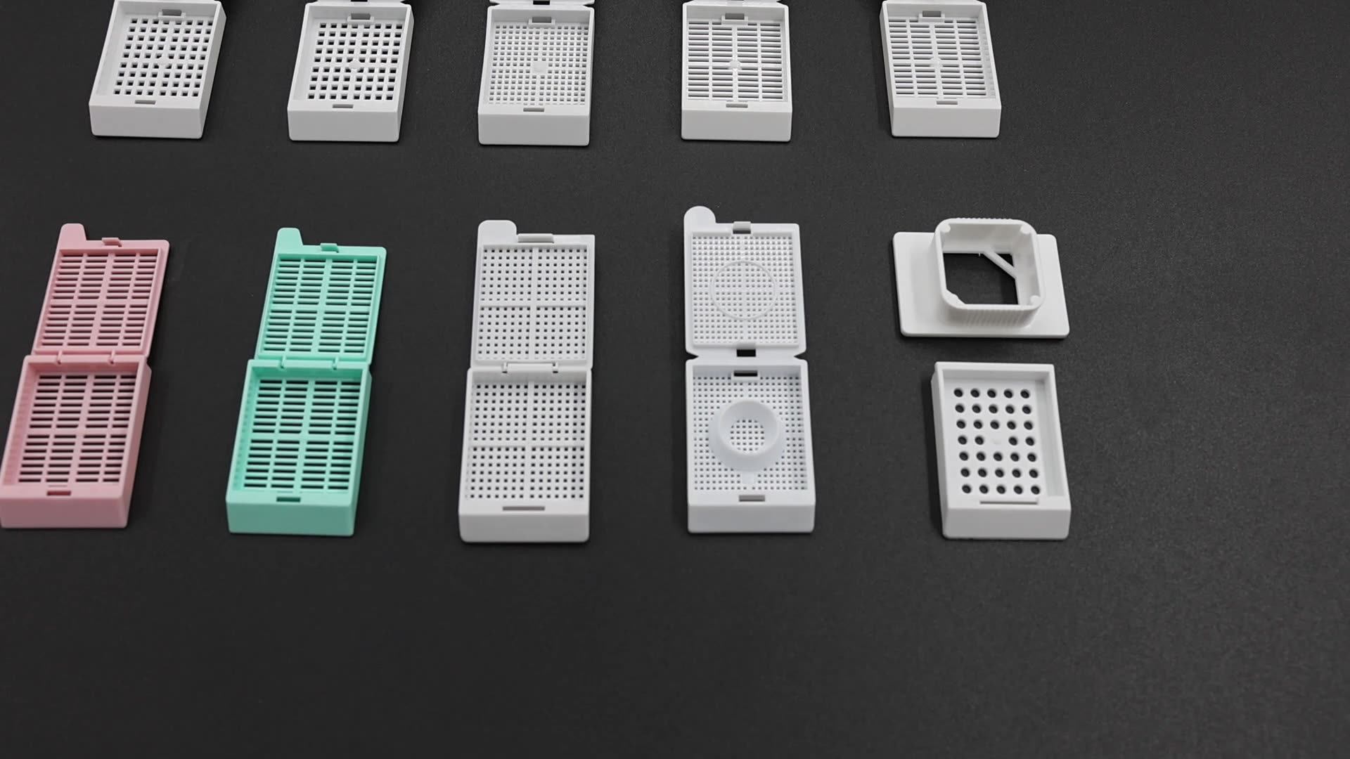 Histology Microscope Pathology Biopsy Specimen Tissue Embedding ...