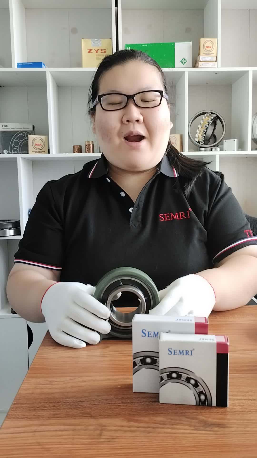 Fw205 Cast Iron Pillow Block Bearing Housing - Buy Pillow Block Bearing ...