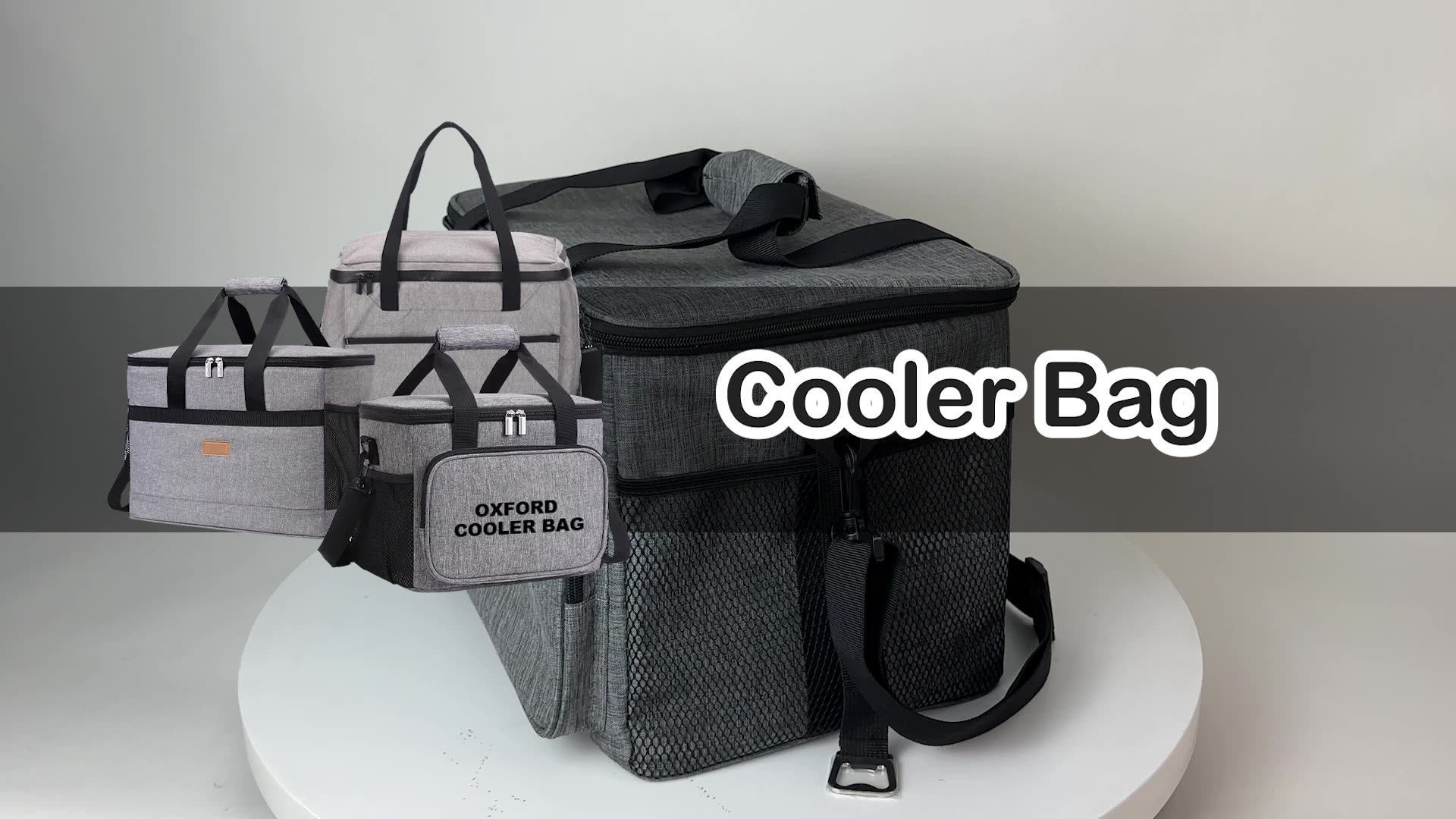 Reusable Lightweight Lunch Cooler Shopping Bag Small Insulated Tote ...