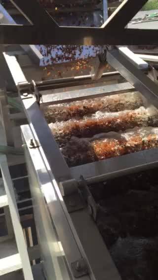 Dried Raisin Stem And Impurity Removing Machine Raisin Drying ...