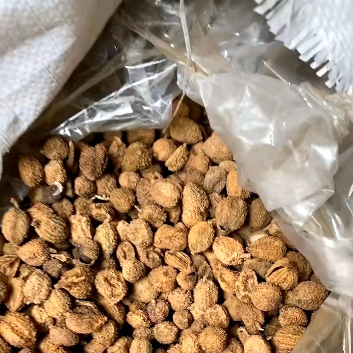 Sha Ren Herb Wurfbainia Villosa Pods Natural Dried Whole Amomum ...