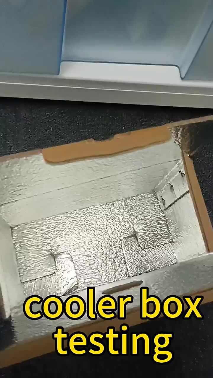 Custom Frozen Meat Transport Big Box Thermal Shipping Boxes Thermal ...