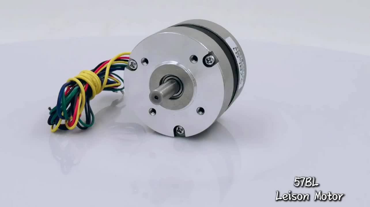 180w 24 Volt Brushless Motor 3000rpm 4000rpm For Packaging Machines ...