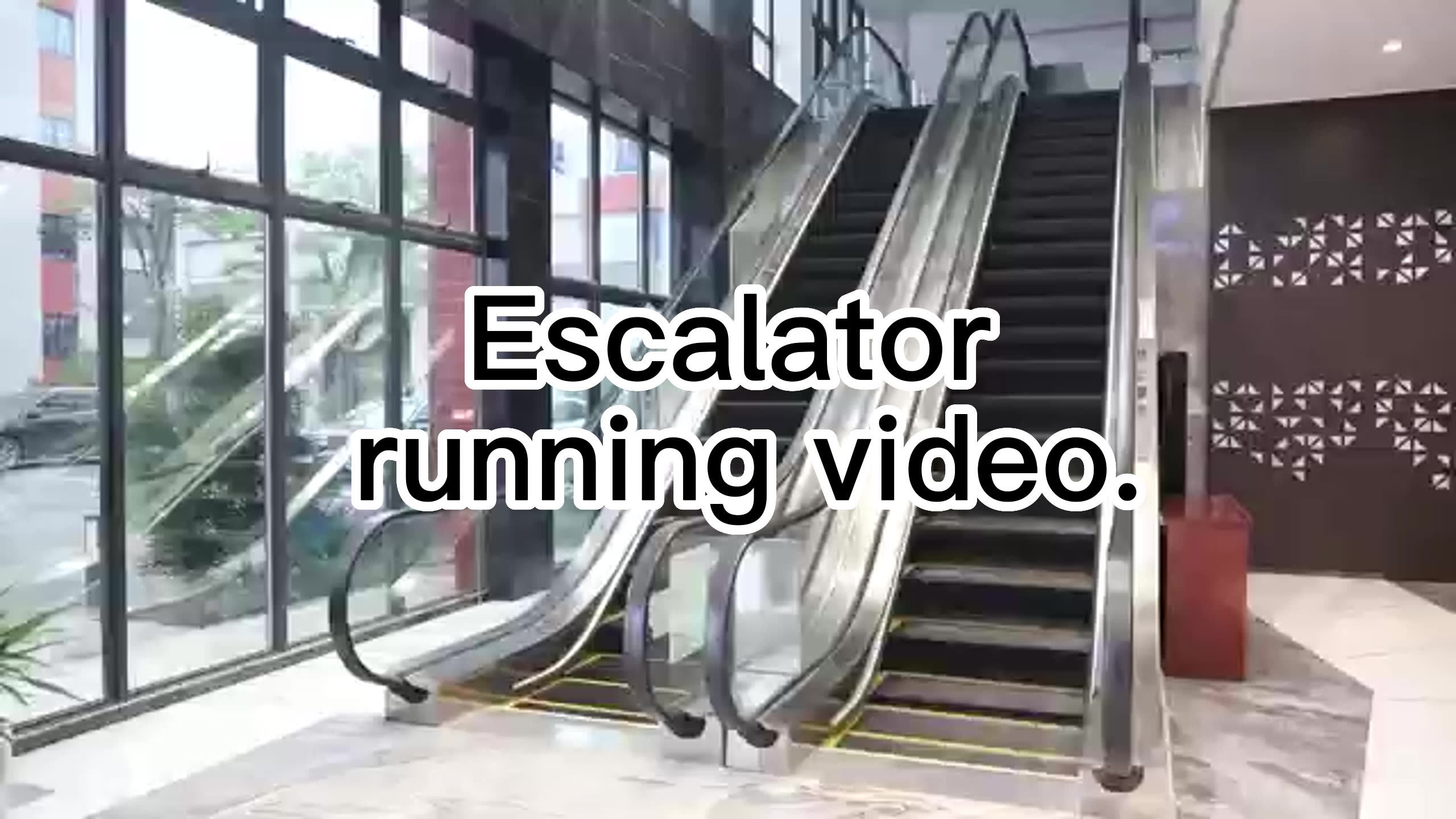 High Quality Stainless Steel Passenger Elevator 8 Passenger Lift Passenger Elevator Mall ...