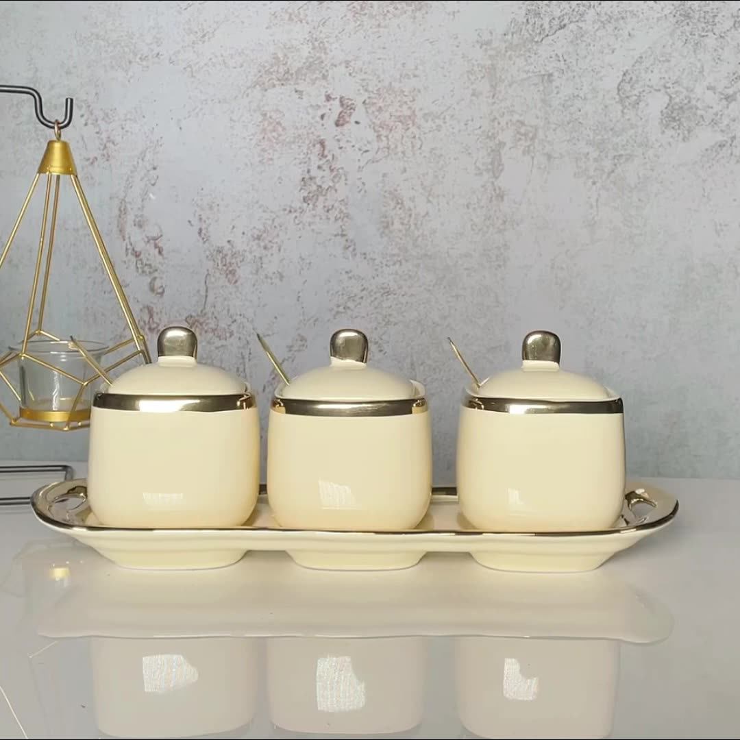 Luxury Ceramic Spice Jars Sets Porcelain Kitchen Storage Seasoning Box ...