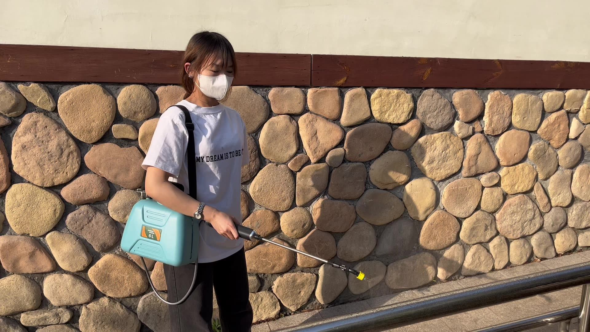 Automatic Knapsack Power Water Sprayer Usb Rechargeable 6l Electric ...