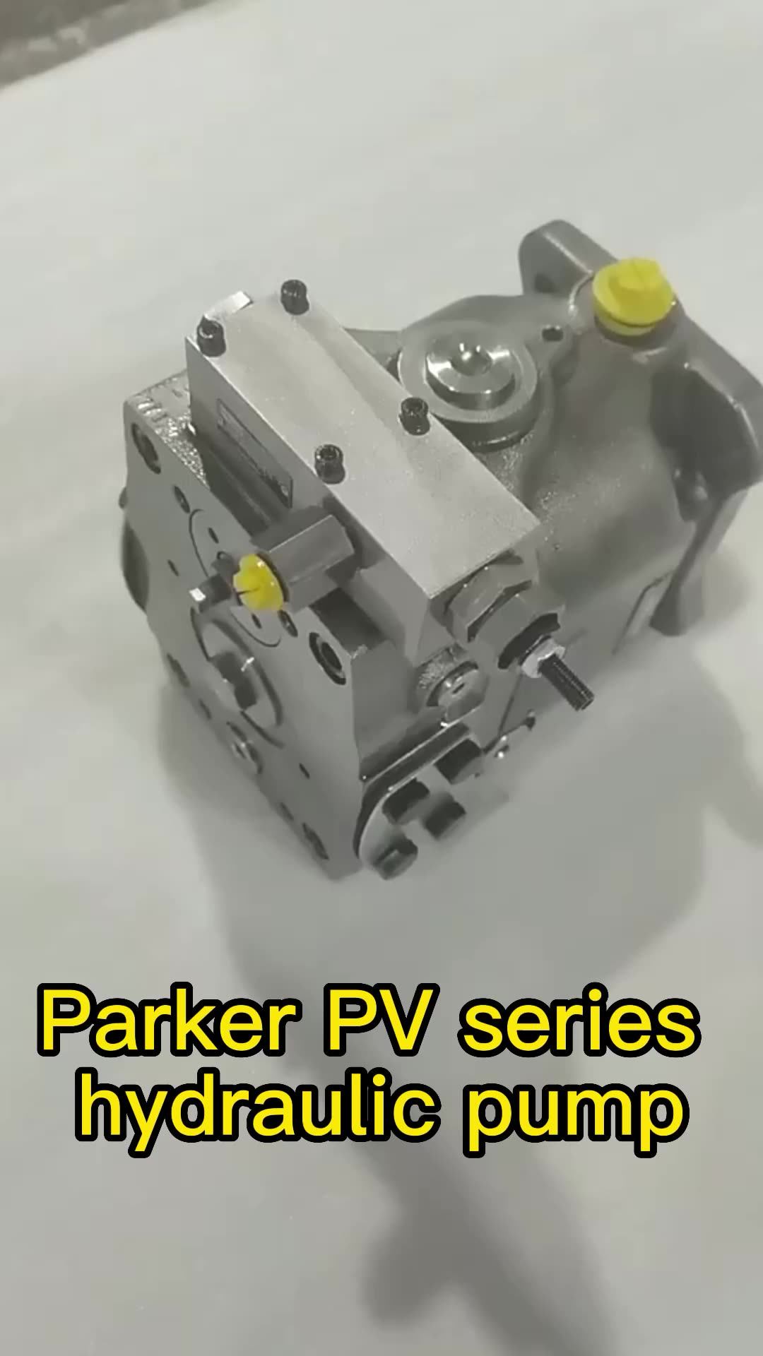 Tejing Pv Series Hydraulic Pump Pv15-2r1e-c00-cw Pv152r1ec00 Pv15-2r1e ...