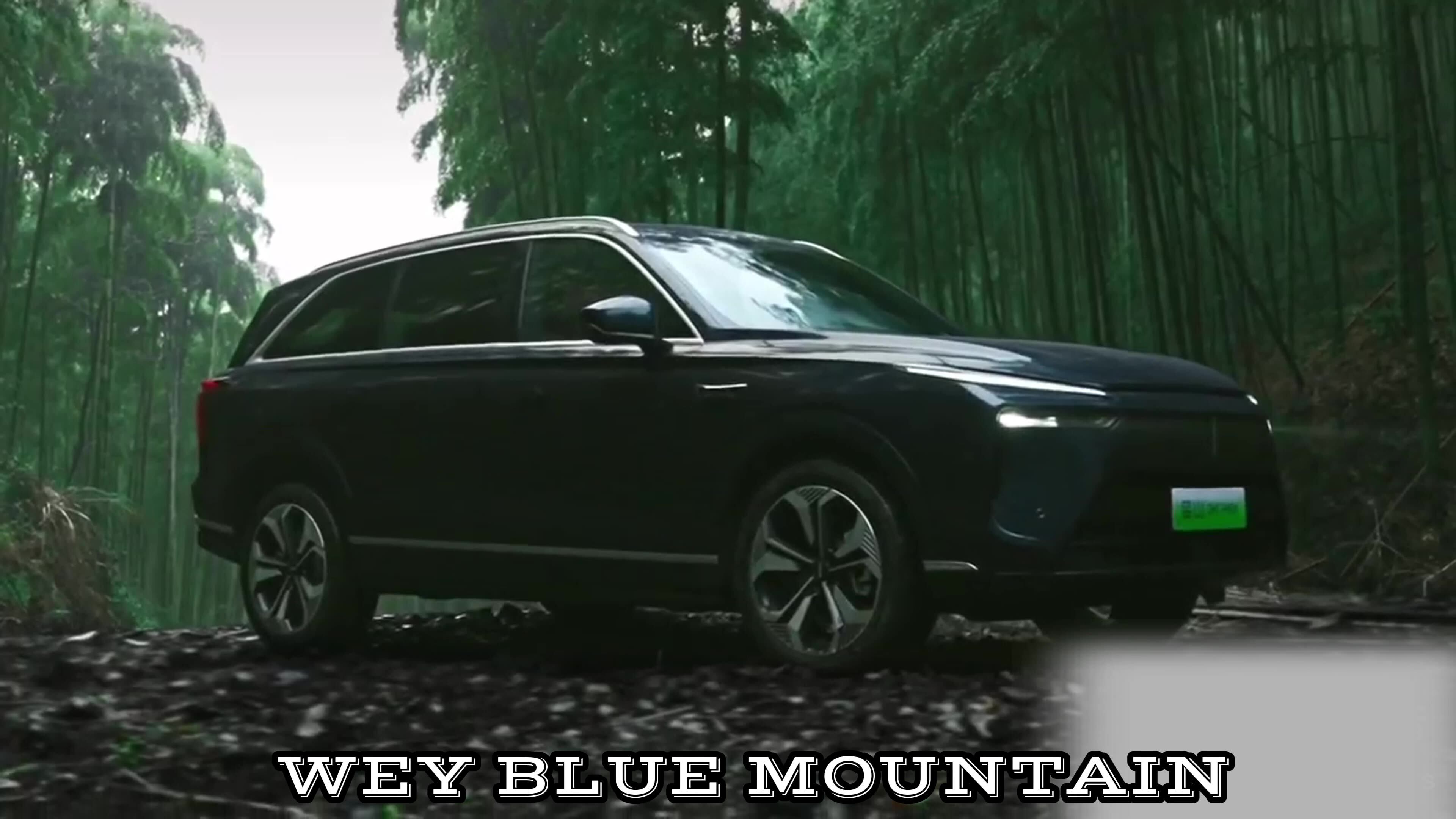 Weiheng Wholesale Electric Car Gwm Wey Blue Mountain Dht-phev 2dw ...