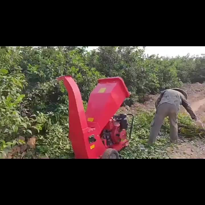 Garden Gasoline Pto Mobile Wood Pruning Tree Twig Branches Logs Crusher ...