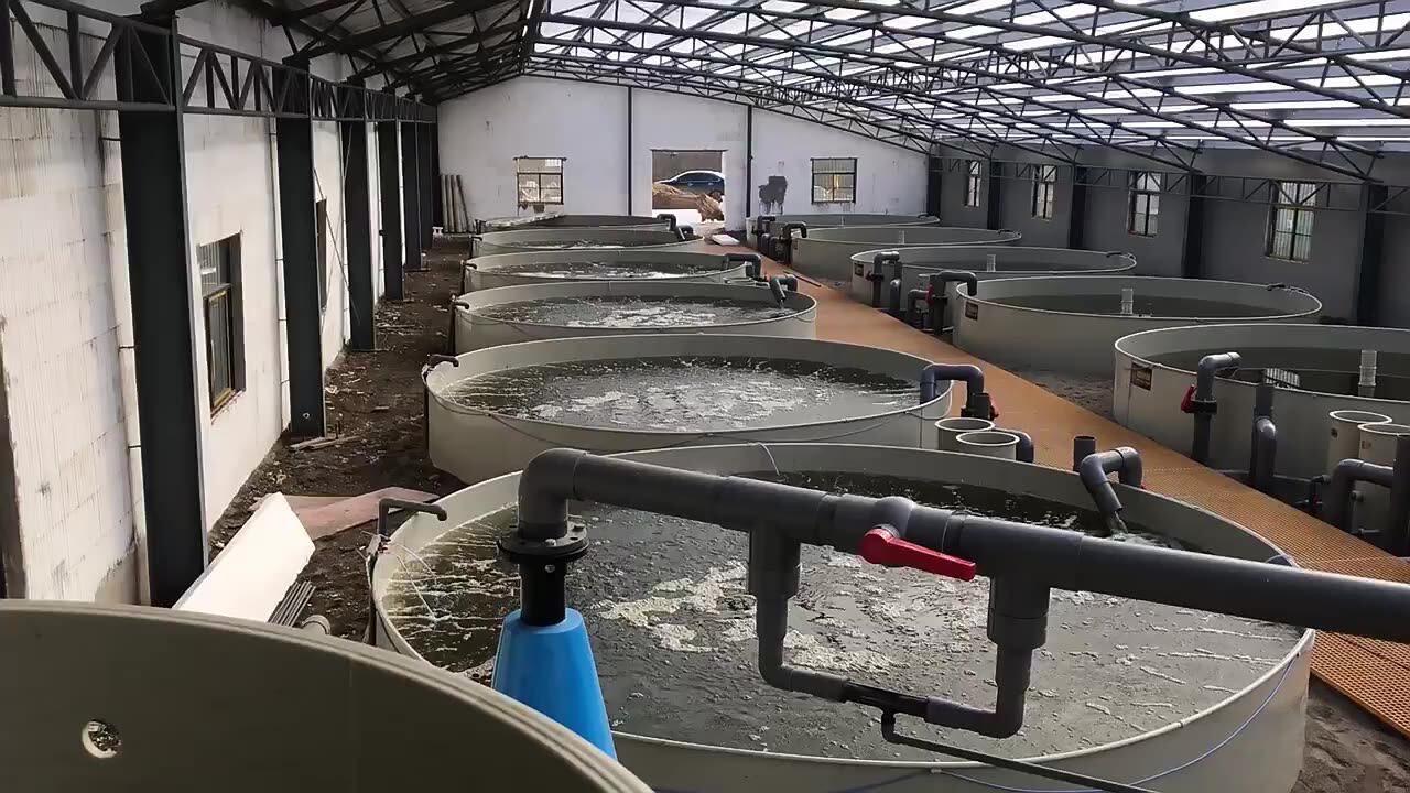 High Quality Industrial Indoor Fish Farm Shrimp Equipment Recirculating ...