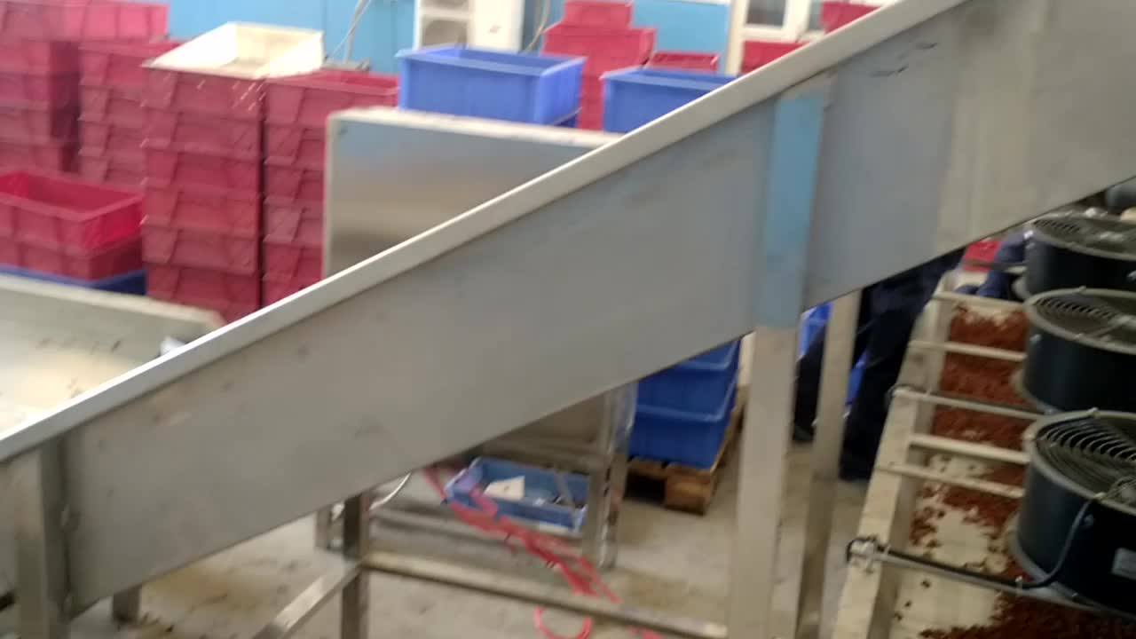 Full Automatic Raisin Polishing Machine Raisin Process Line For Food ...