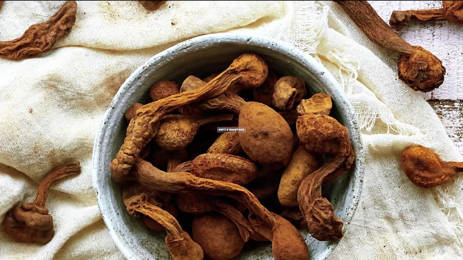 Huanarpo Macho En Polvo Con Diversos Beneficios Disponibles Para Los ...