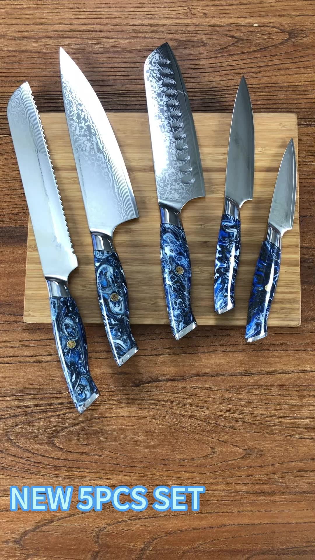 Professional Custom Japan Damascus Steelcooking Chef Knife Set Kitchen ...
