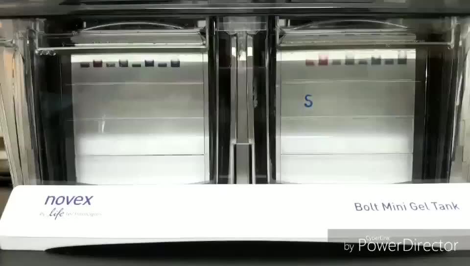 Bluelf_3.5-245 Kda Prestained Protein Marker Ladder (bulk,Oem Is ...