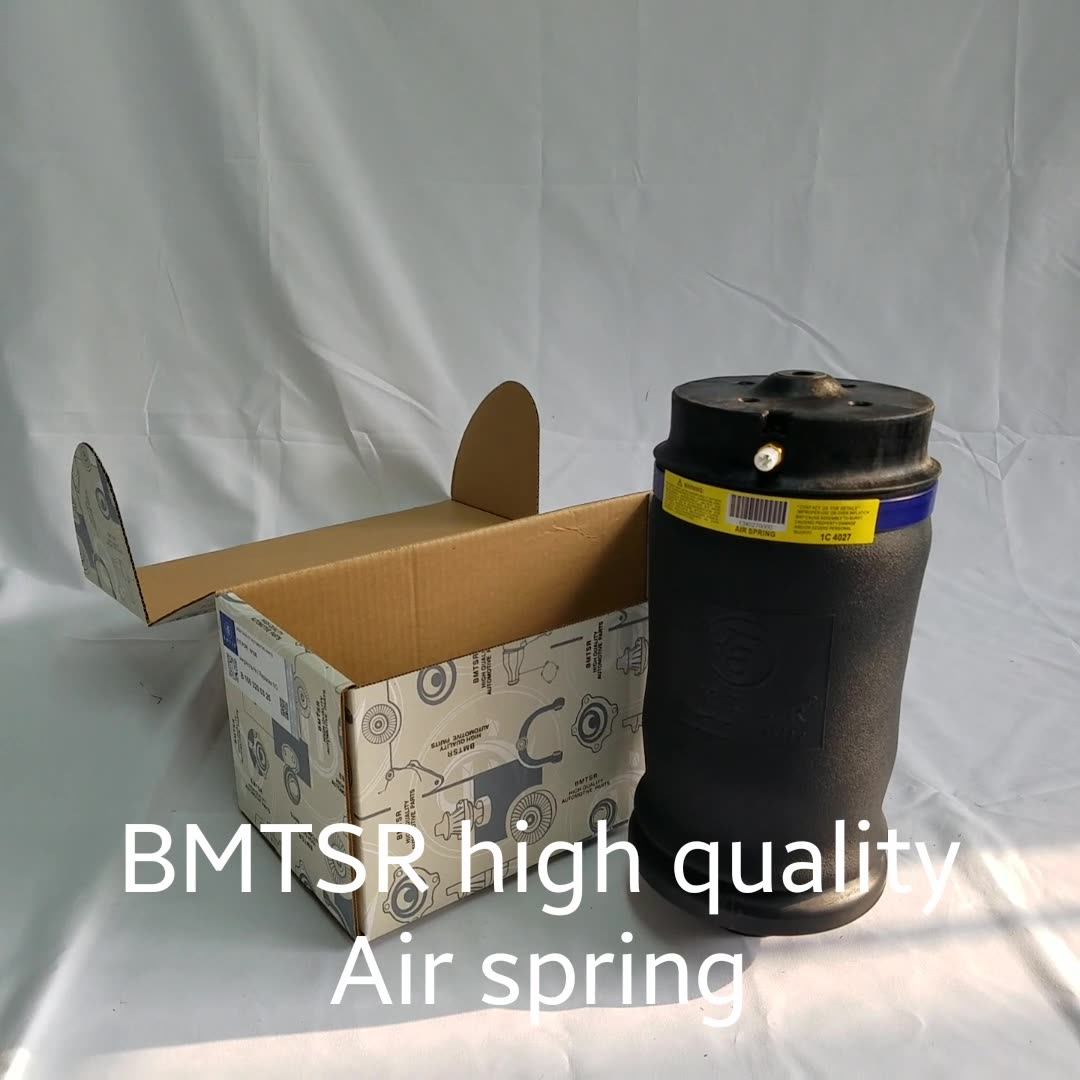 Bmtsr Auto Parts Rear Air Suspension Spring 1663200325 For W166 W164 ...