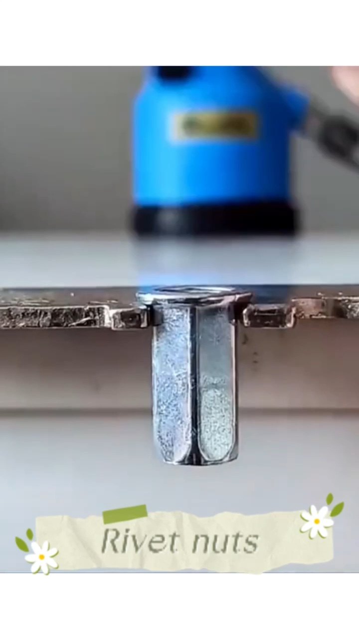 Long Flush Rivnuts Half Hex Flat Round Head Rivet Nuts Heavy Duty Twist ...